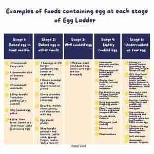 Egg Ladder - How to do home Reintroduction for an egg allergy ...