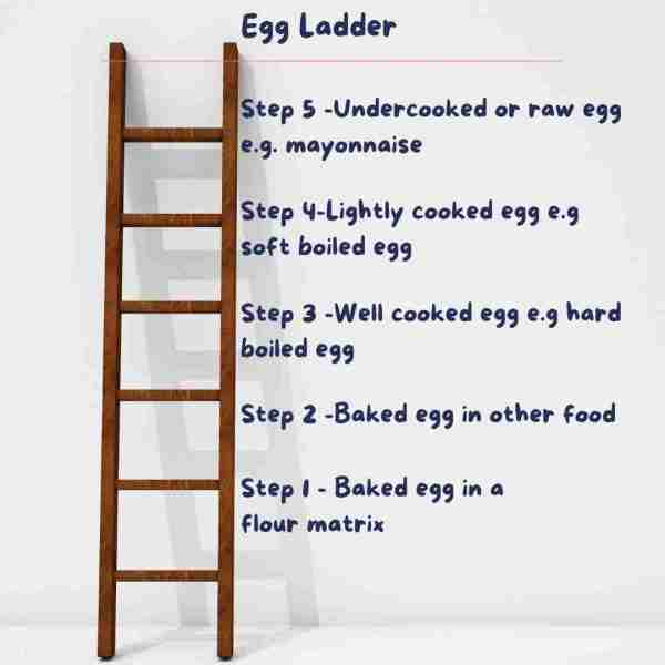 Egg Ladder - How to do home Reintroduction for an egg allergy ...